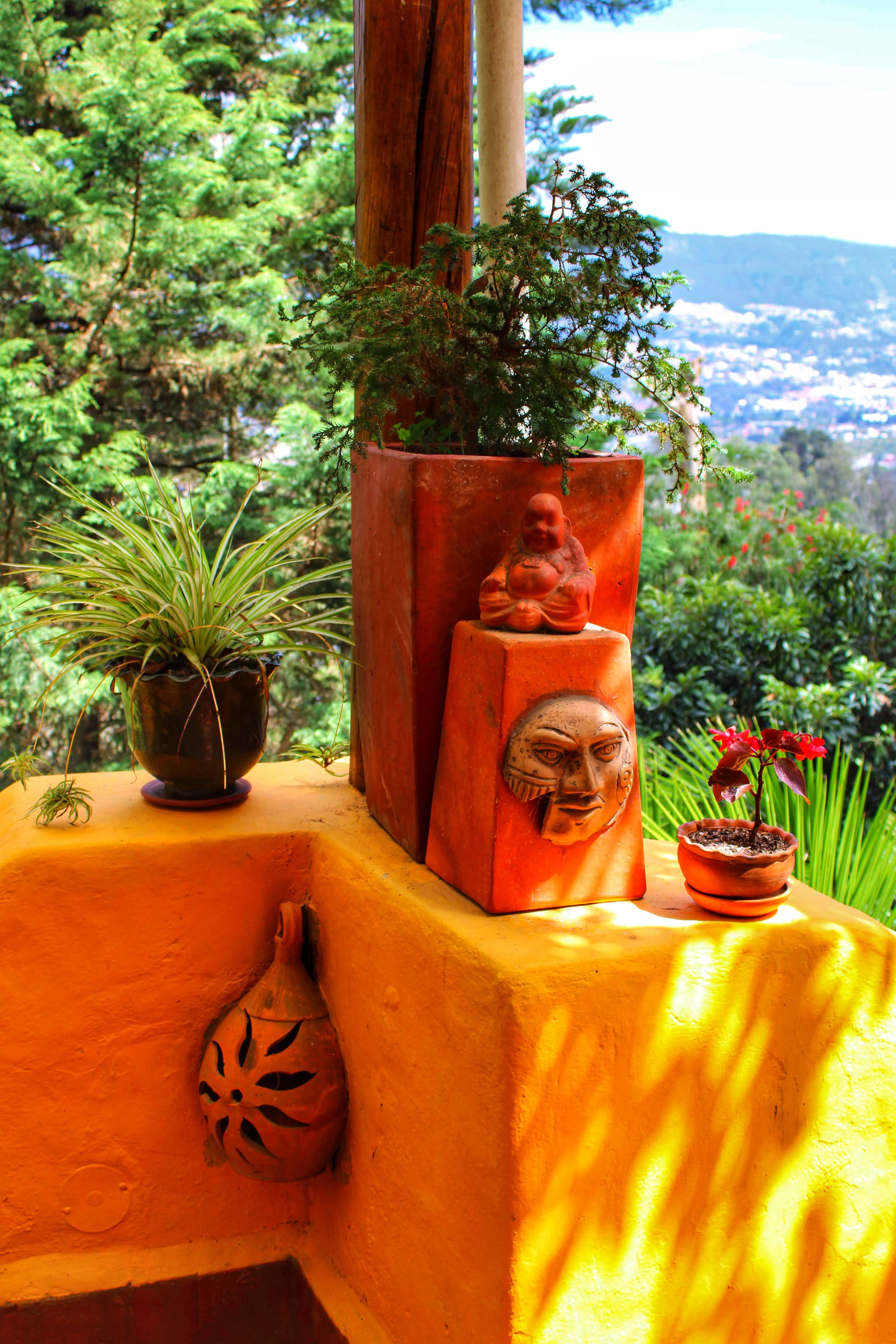 Durga’s Tiger School, Ecuador – But Did You Live?