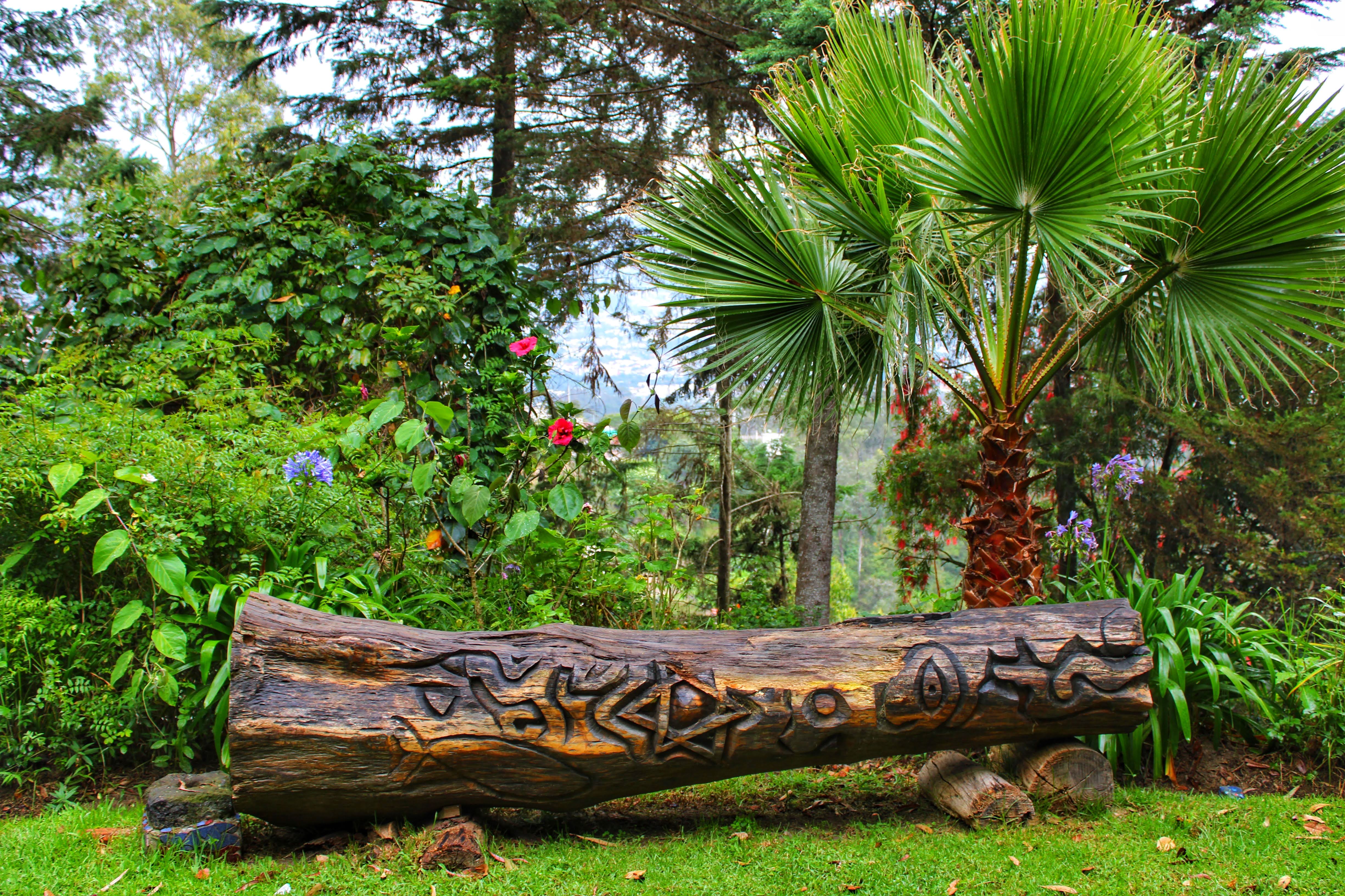 Durga’s Tiger School, Ecuador – But Did You Live?