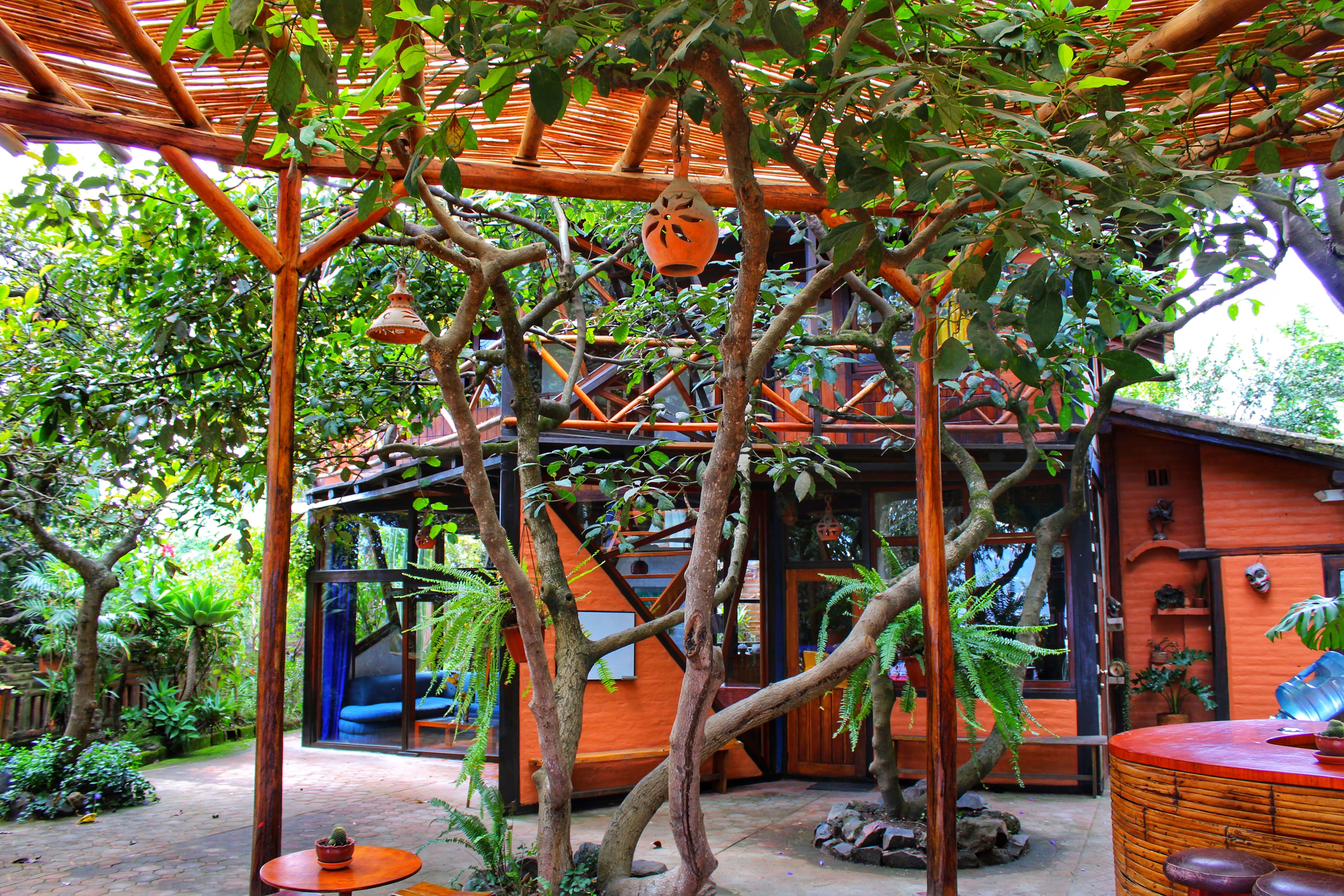 Durga’s Tiger School, Ecuador – But Did You Live?