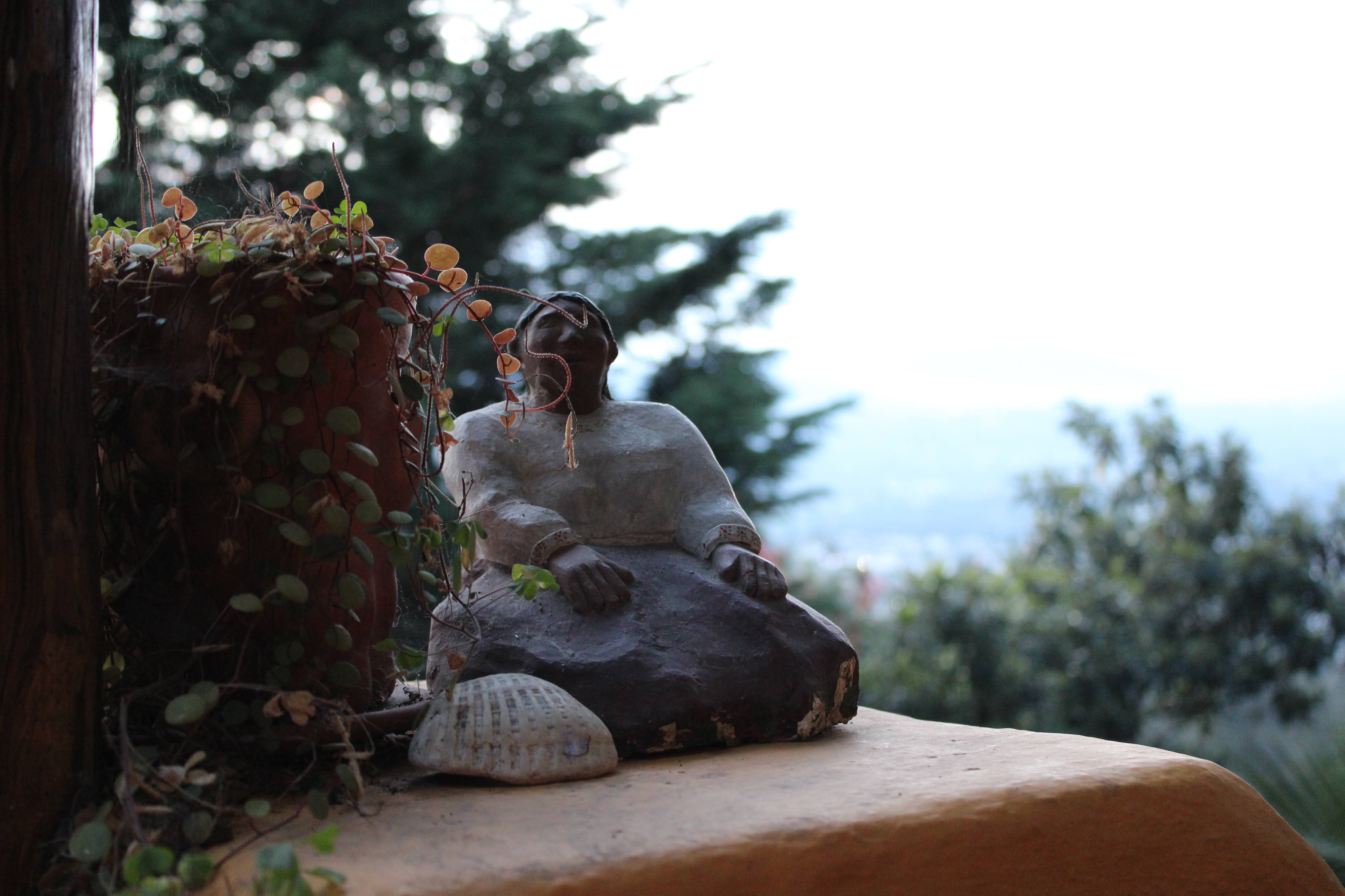Durga’s Tiger School, Ecuador – But Did You Live?